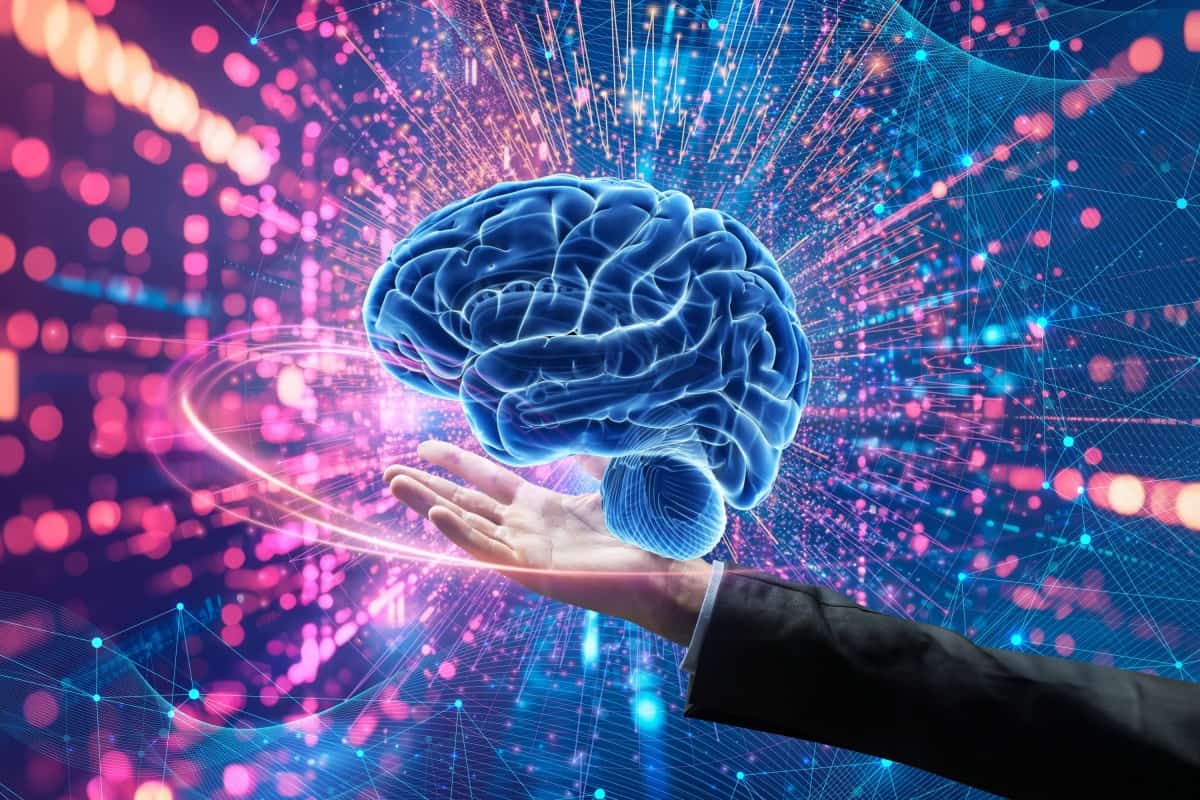 Kako funkcioniše ljudski mozak? - Cins.org.rs